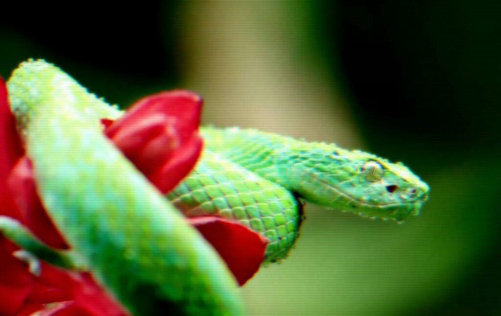 Shaders - Godot Shaders